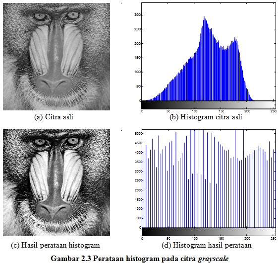 Perbaikan Kualitas Citra | Pemrograman Matlab