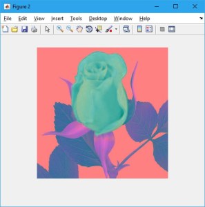 Segmentasi Citra dengan Metode Multi Thresholding dan K-Means Clustering | Pemrograman Matlab