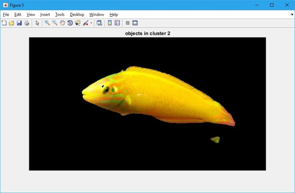 Ekstraksi Ciri Citra RGB | Pemrograman Matlab