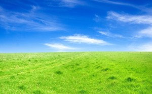 Segmentasi Warna menggunakan Algoritma Fuzzy C-Means Clustering | Pemrograman Matlab