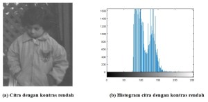 Histogram Citra | Pemrograman Matlab