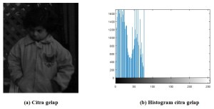 Histogram Citra | Pemrograman Matlab