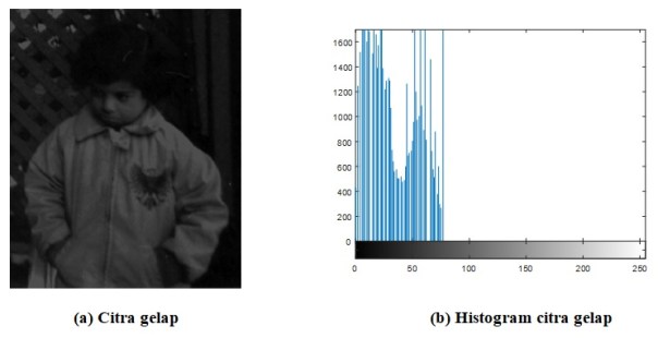 Histogram Citra | Pemrograman Matlab