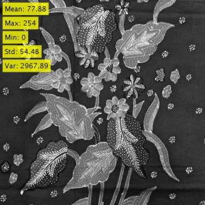 Ekstraksi Ciri Citra Grayscale | Pemrograman Matlab