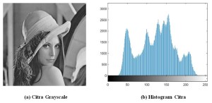Histogram Citra | Pemrograman Matlab