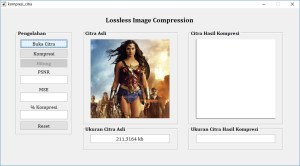 Kompresi Lossless Pada Citra Digital | Pemrograman Matlab
