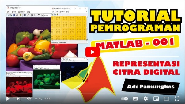 Pengolahan Citra Digital | Pemrograman Matlab