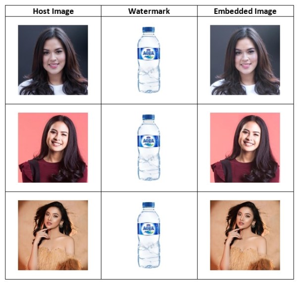 Watermarking Citra Menggunakan Transformasi Wavelet | Pemrograman Matlab