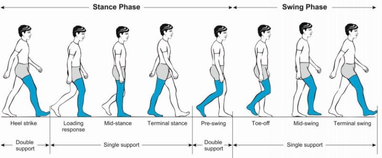 Gait Analysis | Pemrograman Matlab