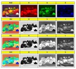 Ruang Warna dalam Pengolahan Citra | Pemrograman Matlab