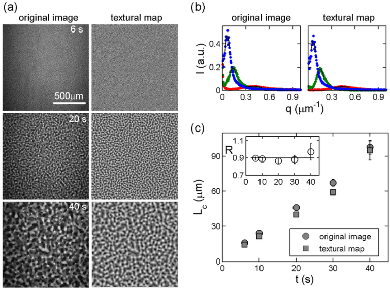 Analisis Tekstur Menggunakan Metode GLCM, LBP, dan FLBP | Pemrograman ...